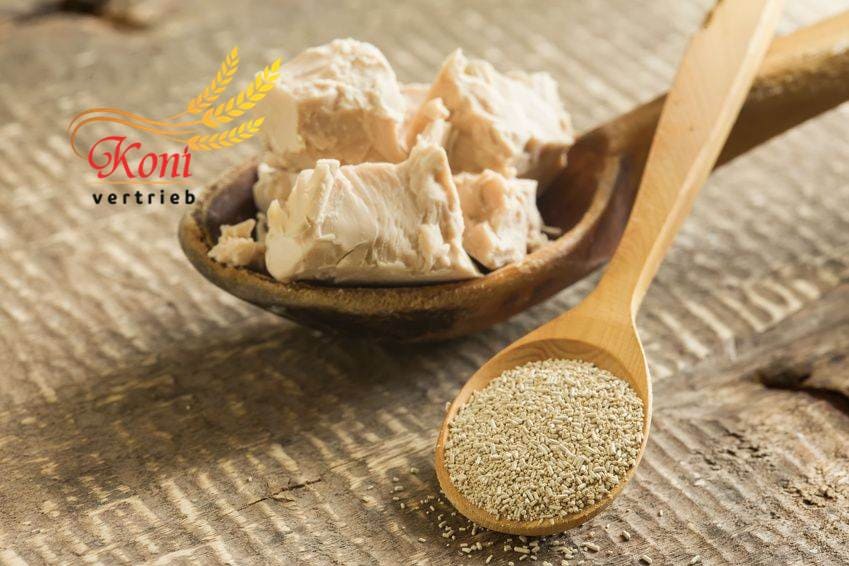 Frischhefe - Koni vertrieb